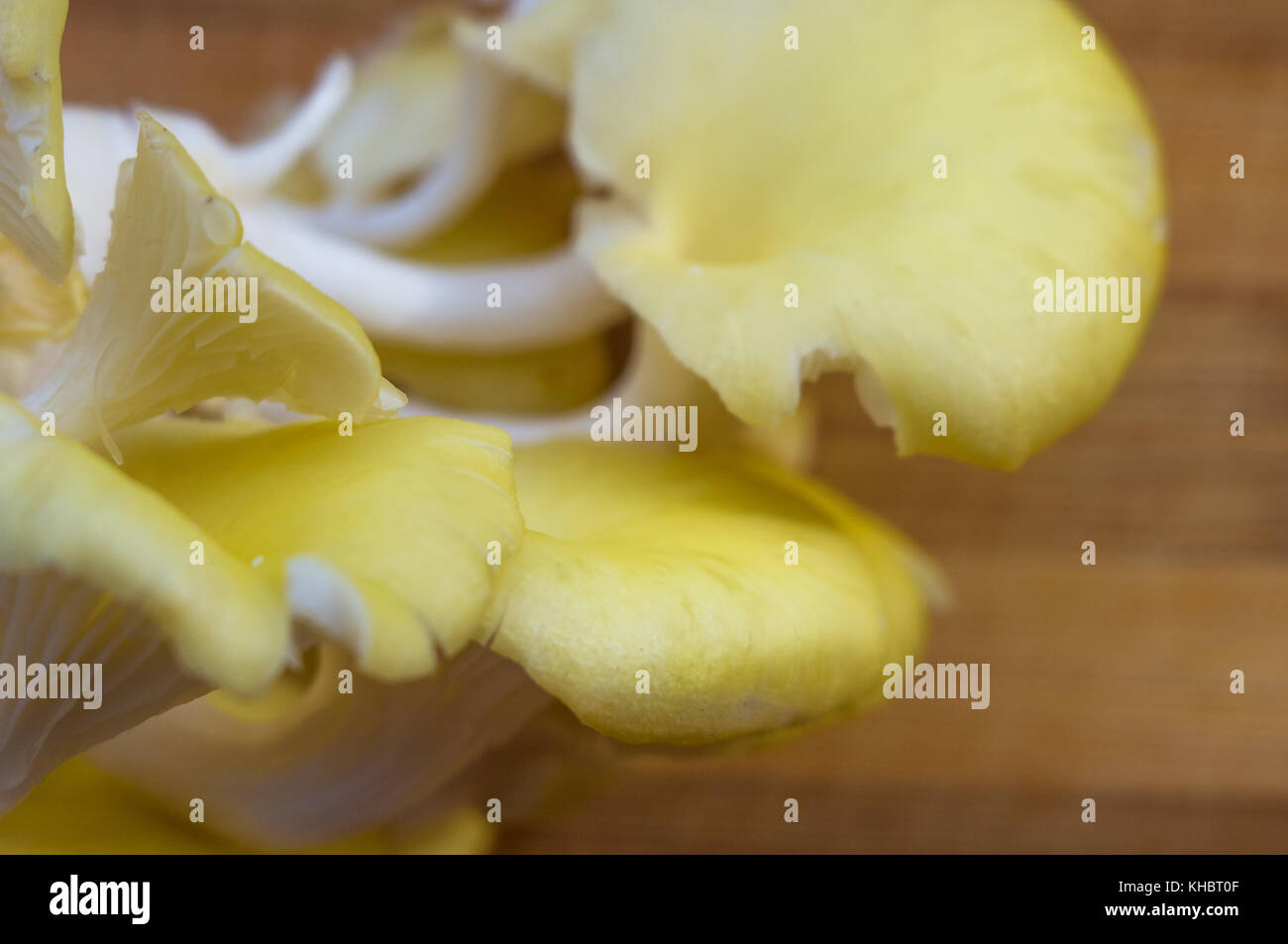 Chopping golden oyster mushrooms on hi-res stock photography and images ...