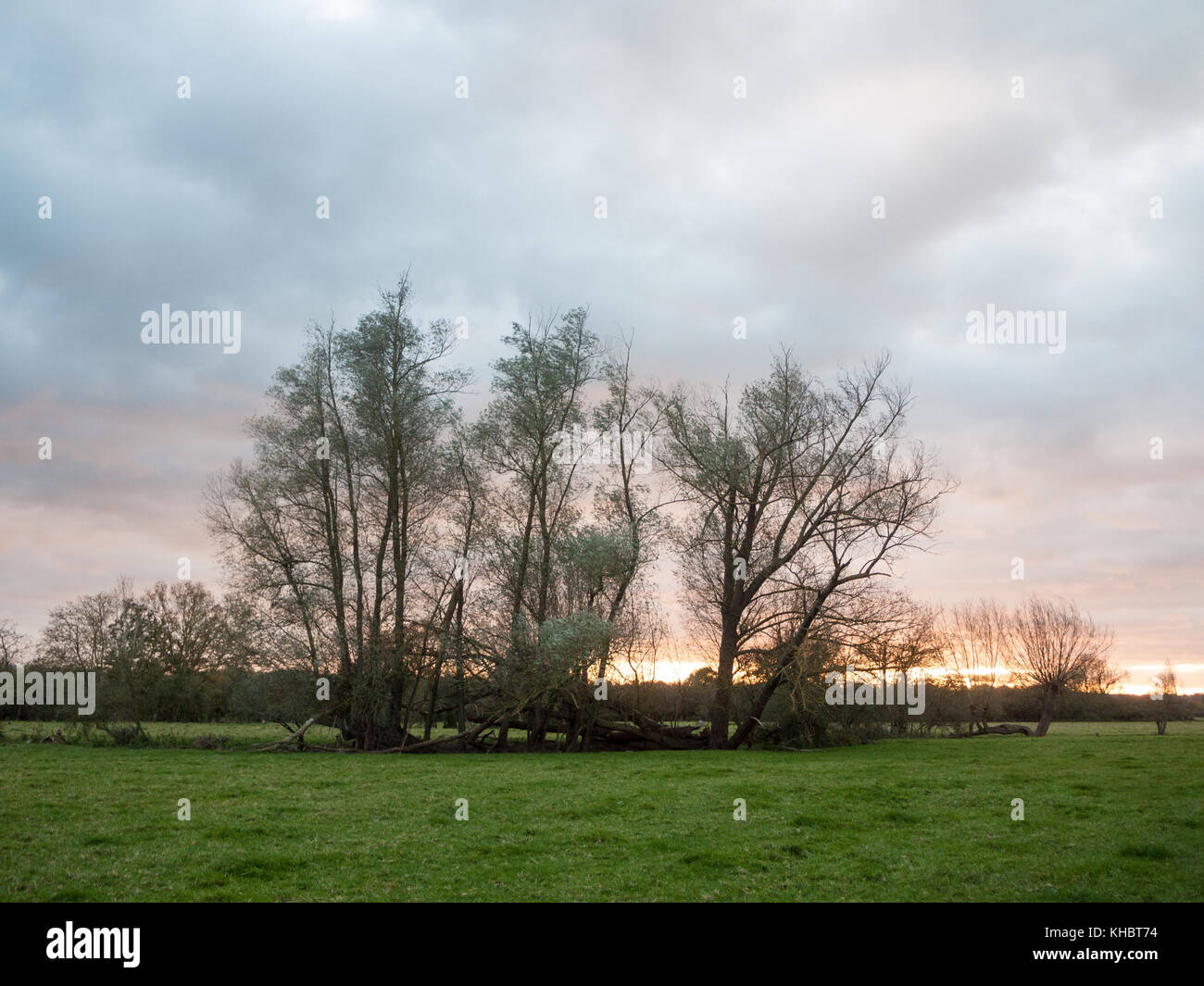 beautiful sunset over empty country landscape dramatic sky trees autumn ...