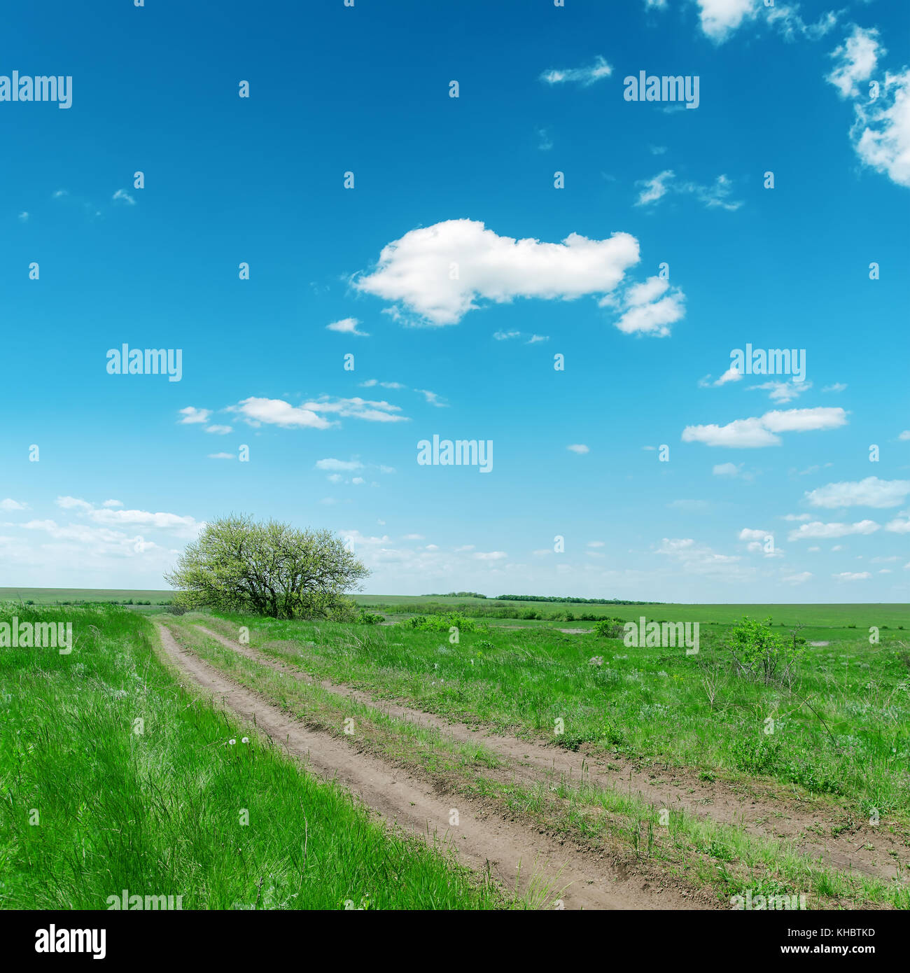 dirty road in green landscape Stock Photo - Alamy