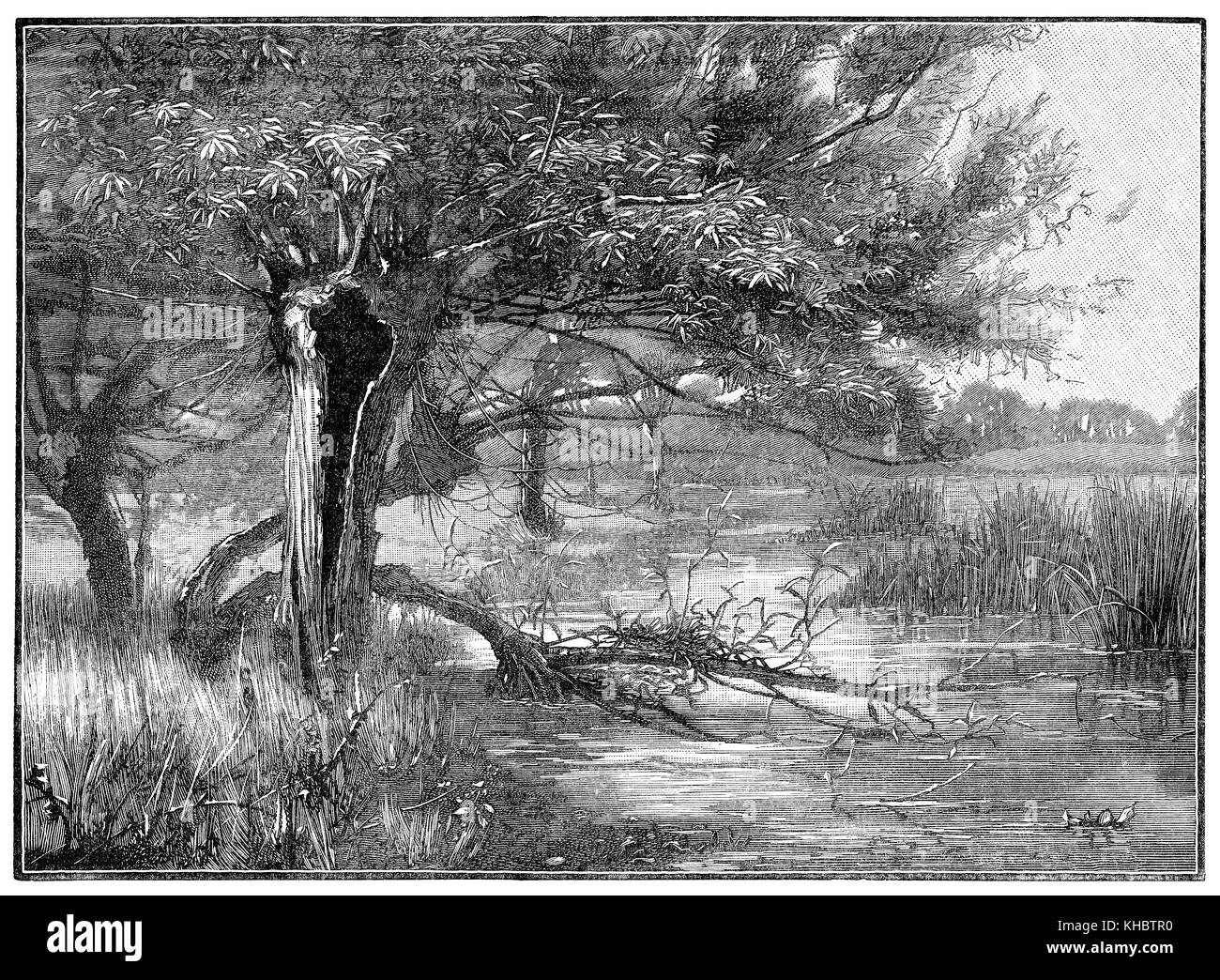 English countryside illustration hi-res stock photography and images ...