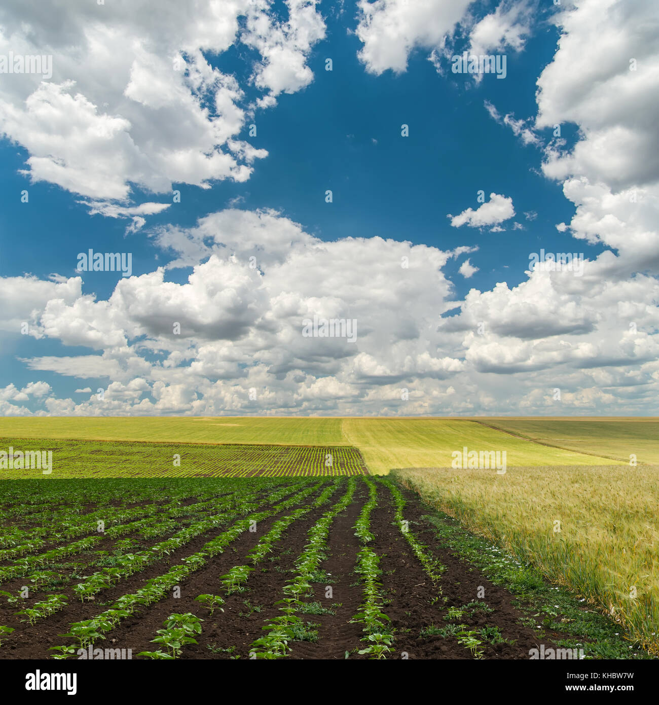 cloudy sky over spring field Stock Photo - Alamy