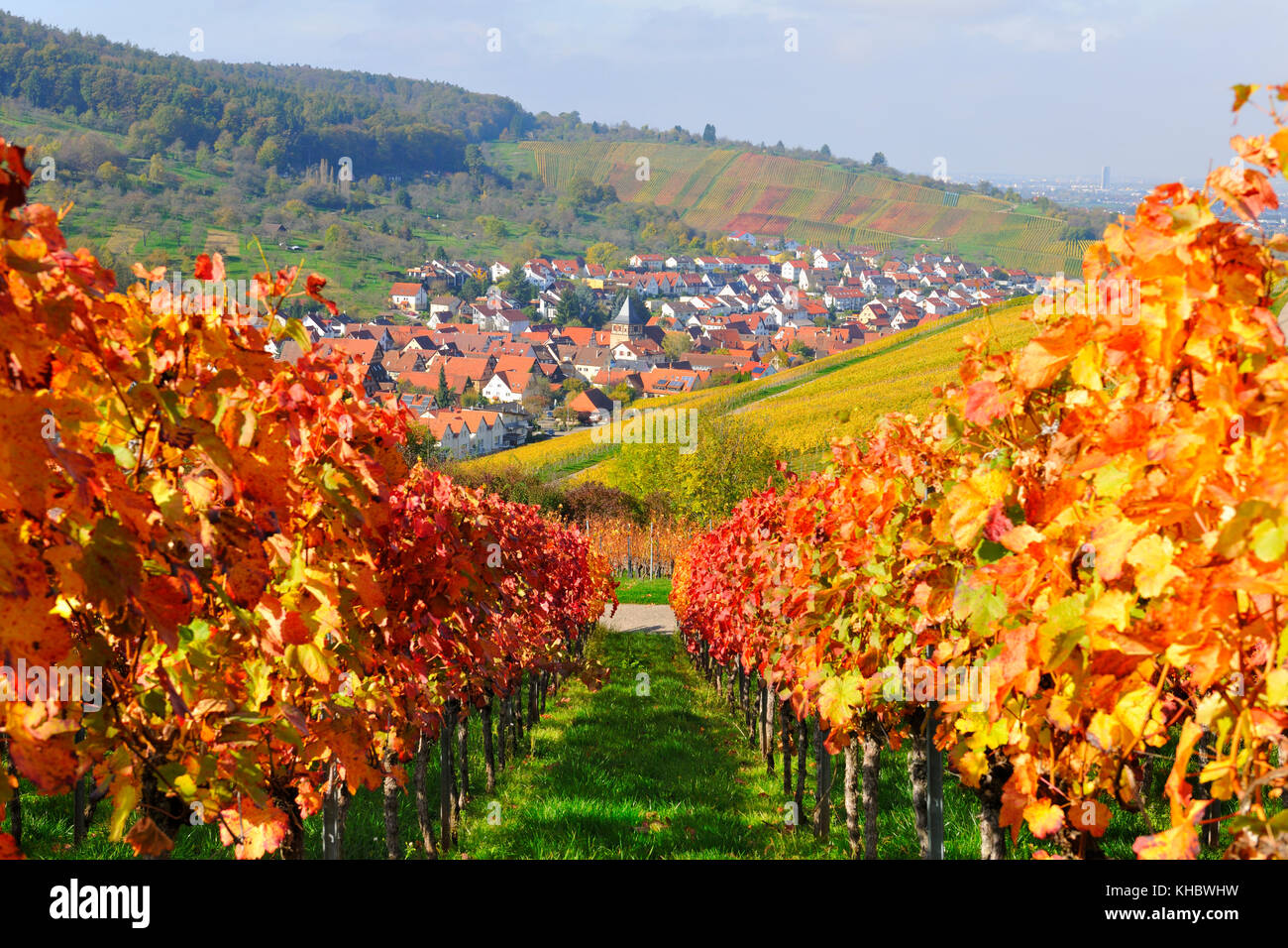 Weinstadt region hi-res stock photography and images - Alamy