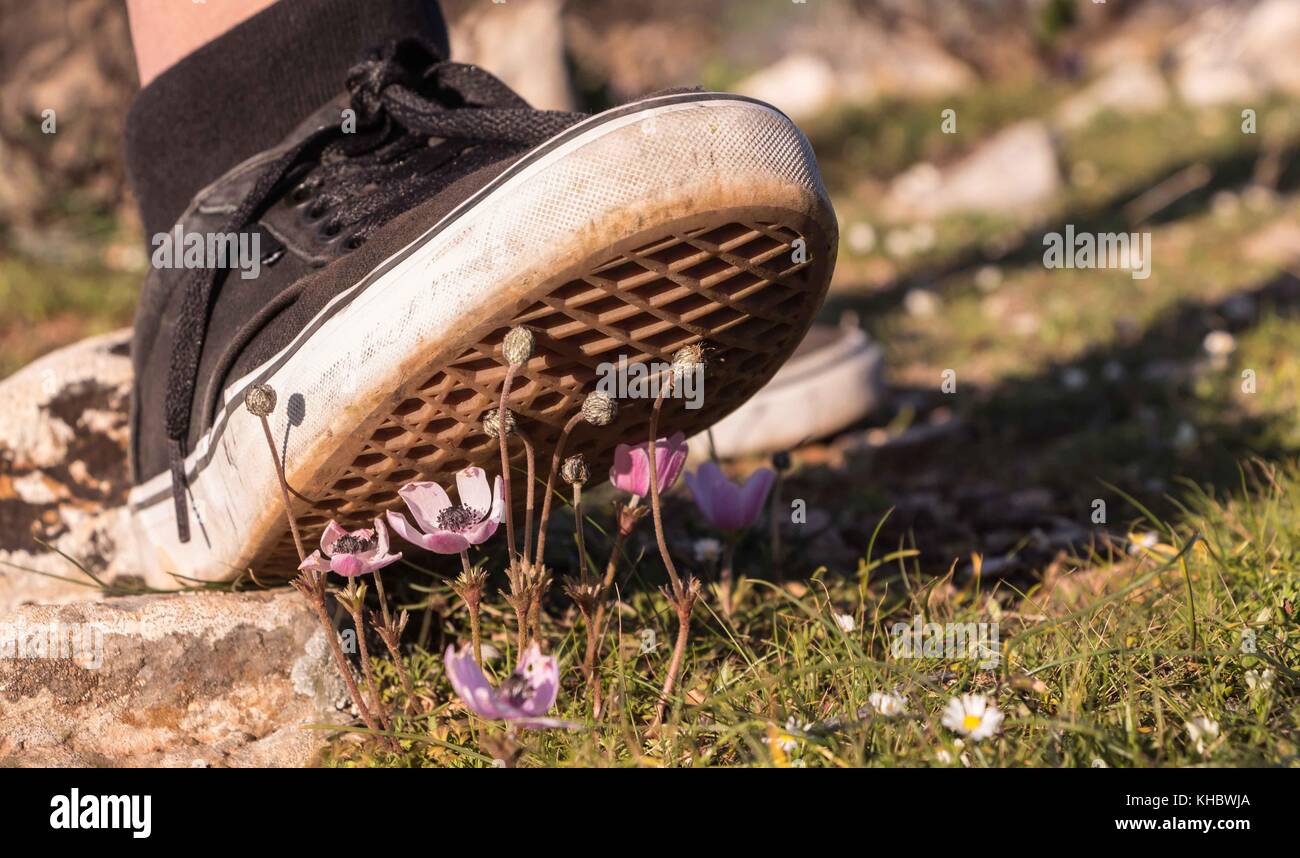 Shoe Stepping On Flower