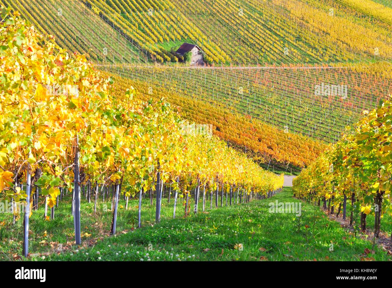 Weinstadt hi-res stock photography and images - Alamy