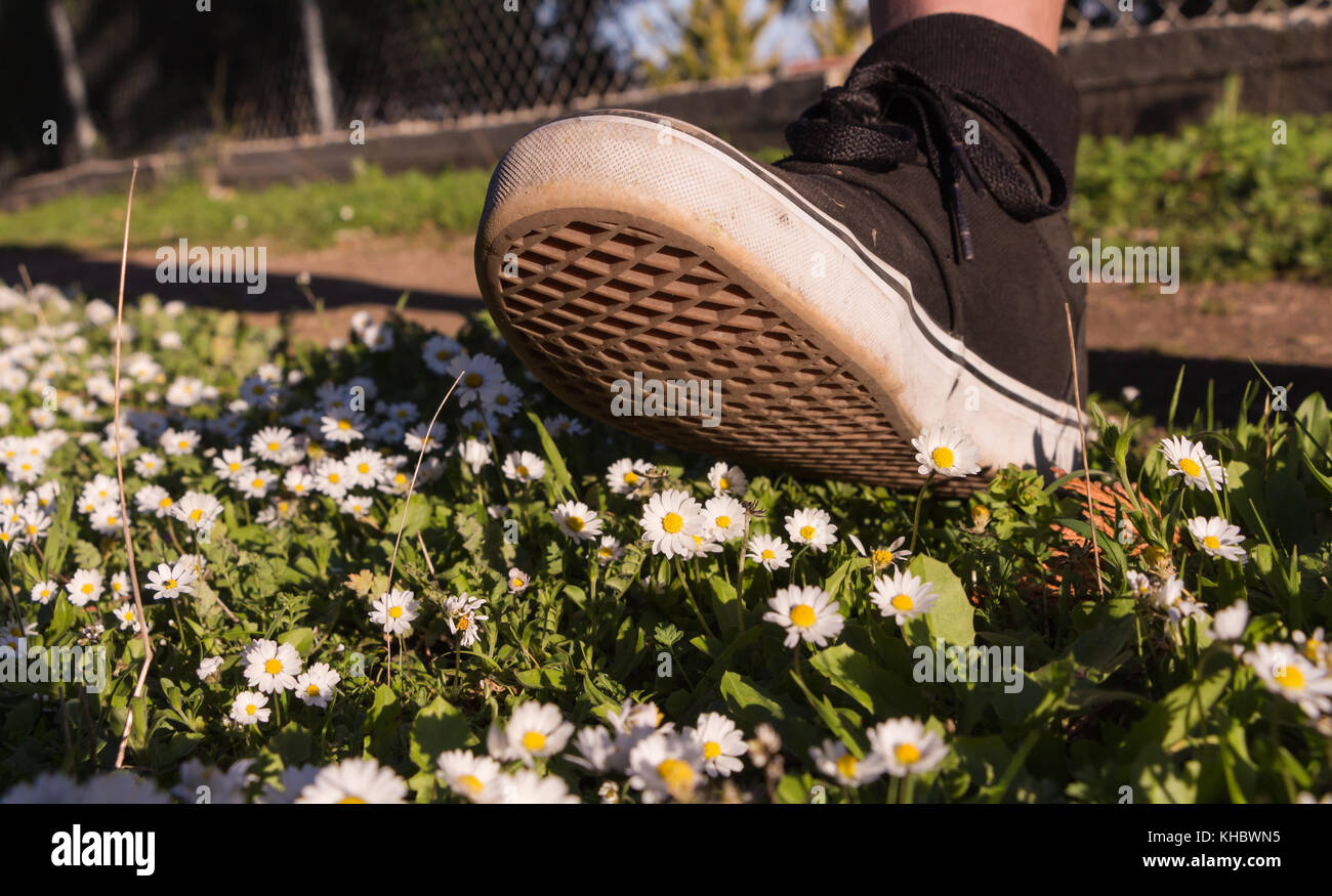 Foot stepping on flower hi-res stock photography and images - Alamy