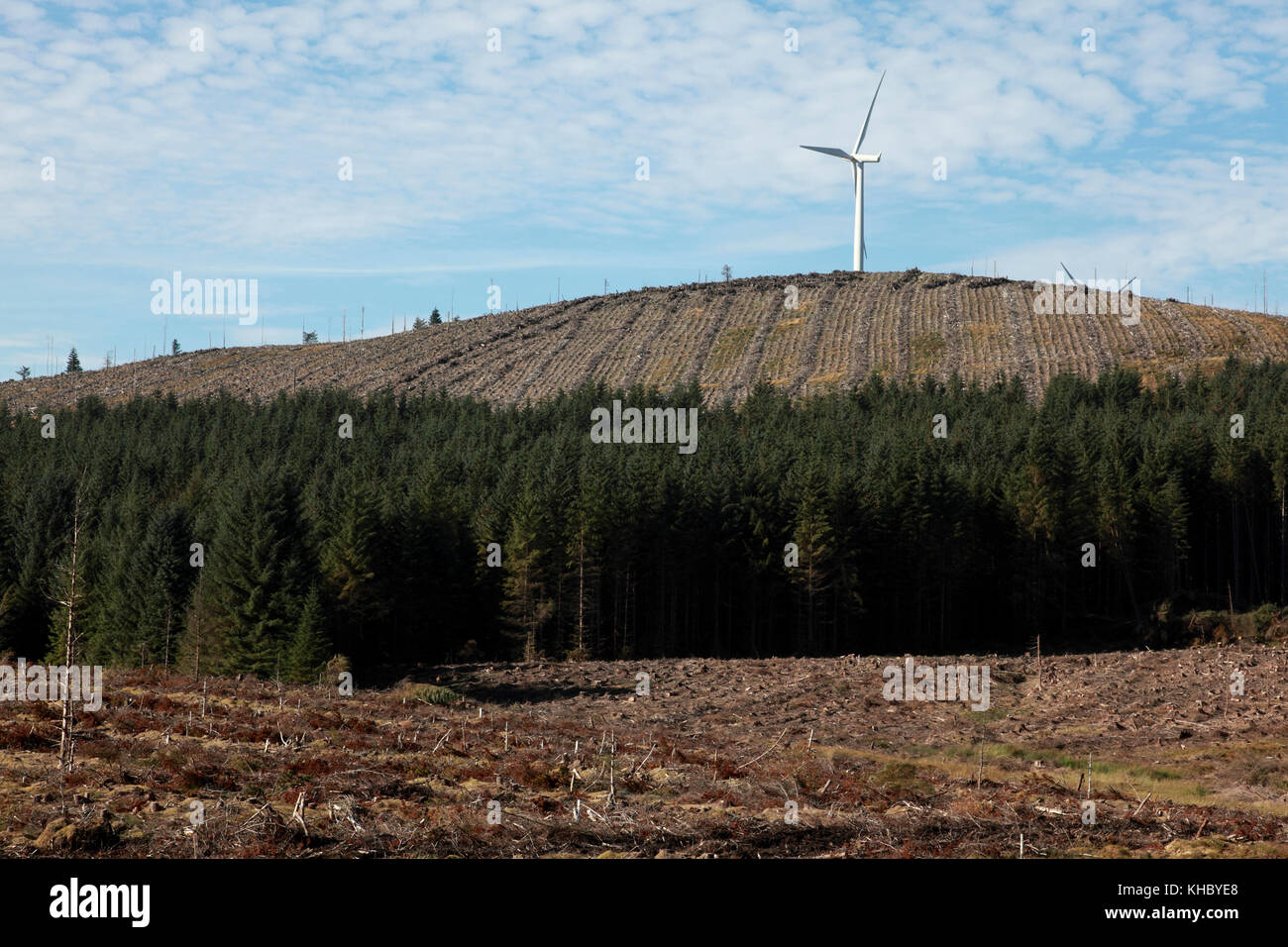 Commercial felling and tree planting in the Scottish borders with part ...