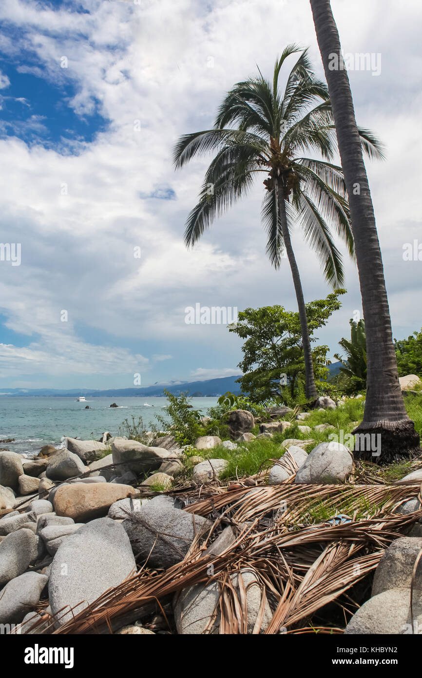 Detail from Playa Las Animas in Mexico Stock Photo - Alamy