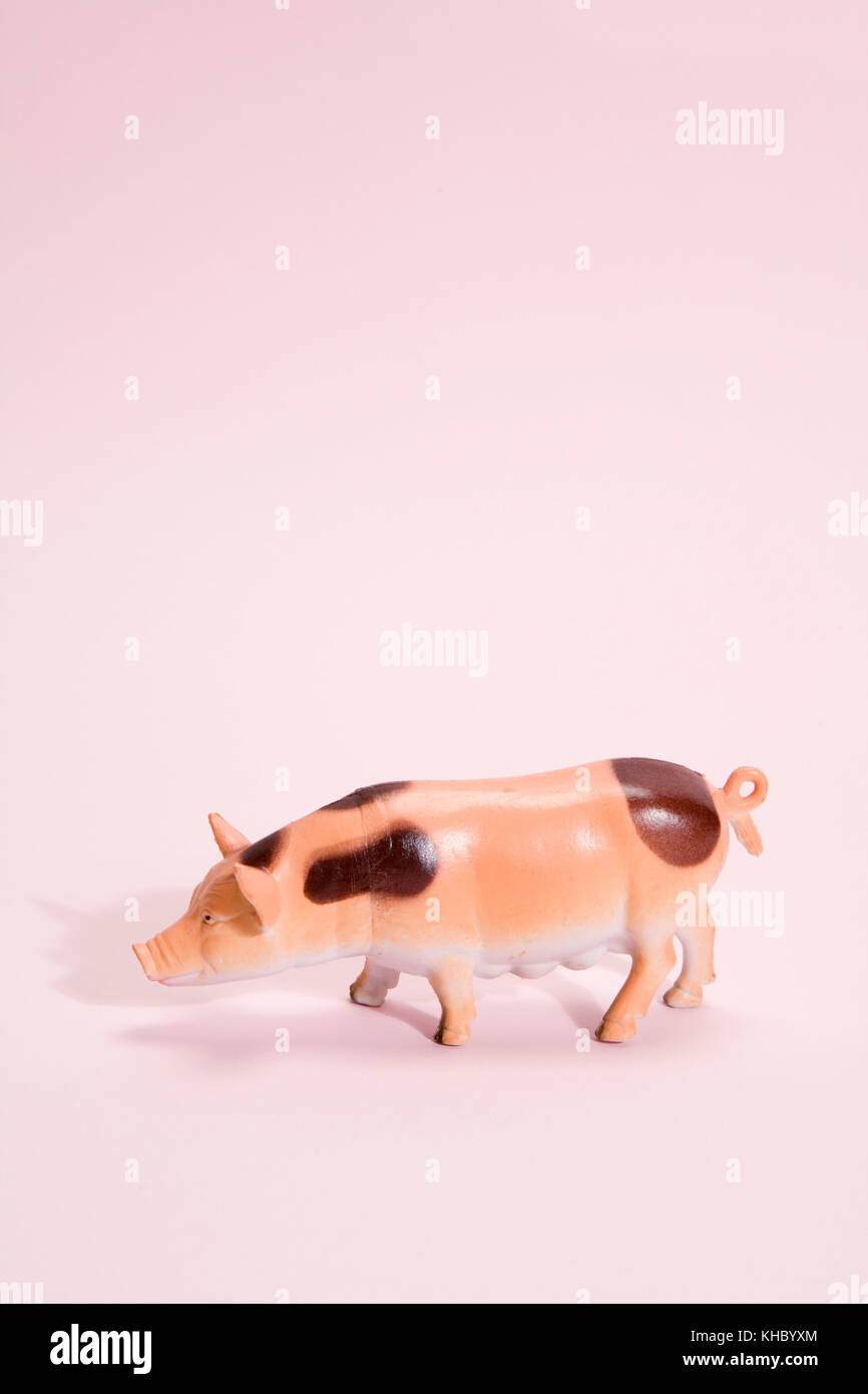 pink pig plastic figurine toy on a vibrant pink background. Minimal ...