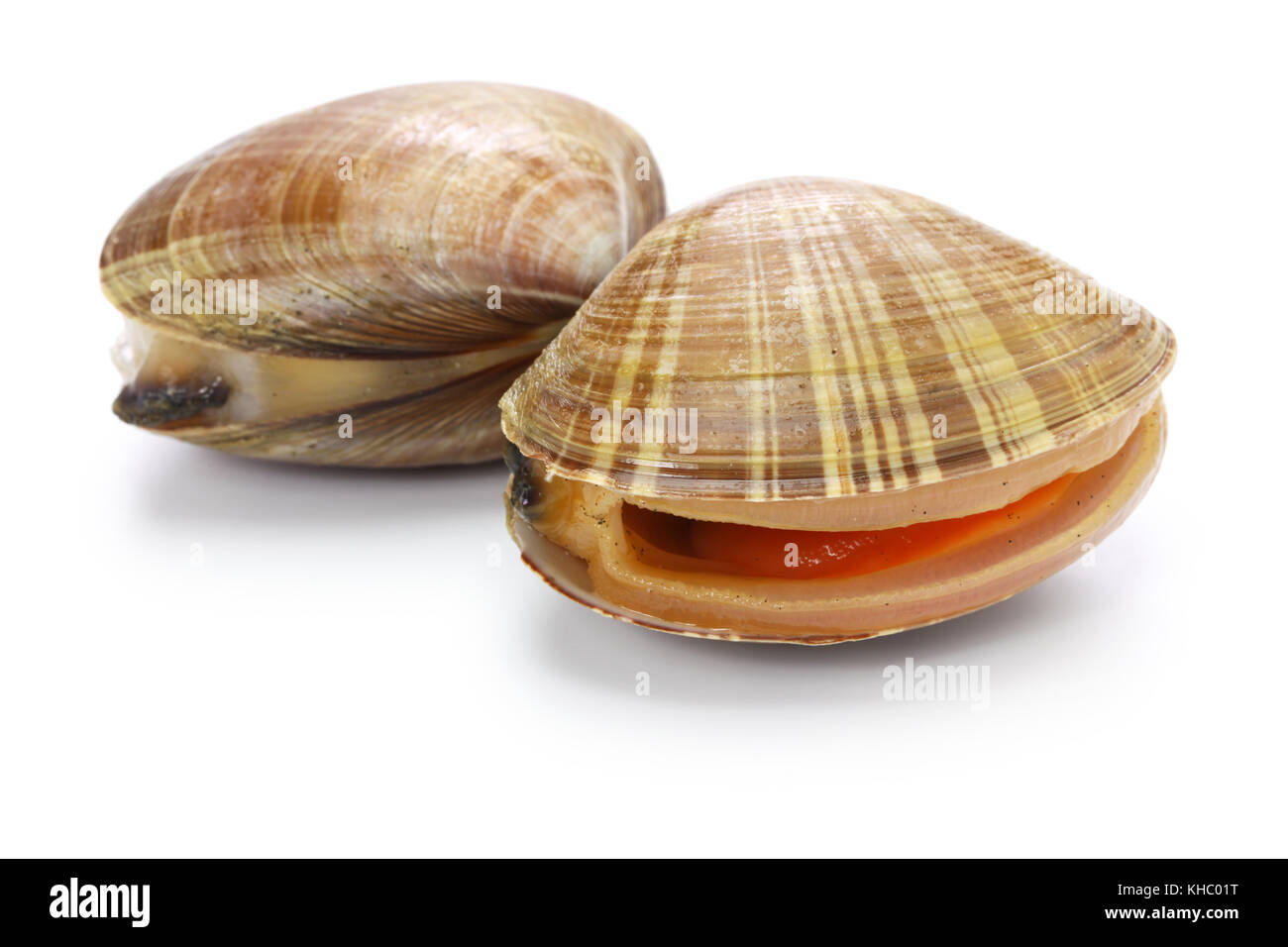 chinese mactra, aoyagi, japanese sushi topping Stock Photo - Alamy