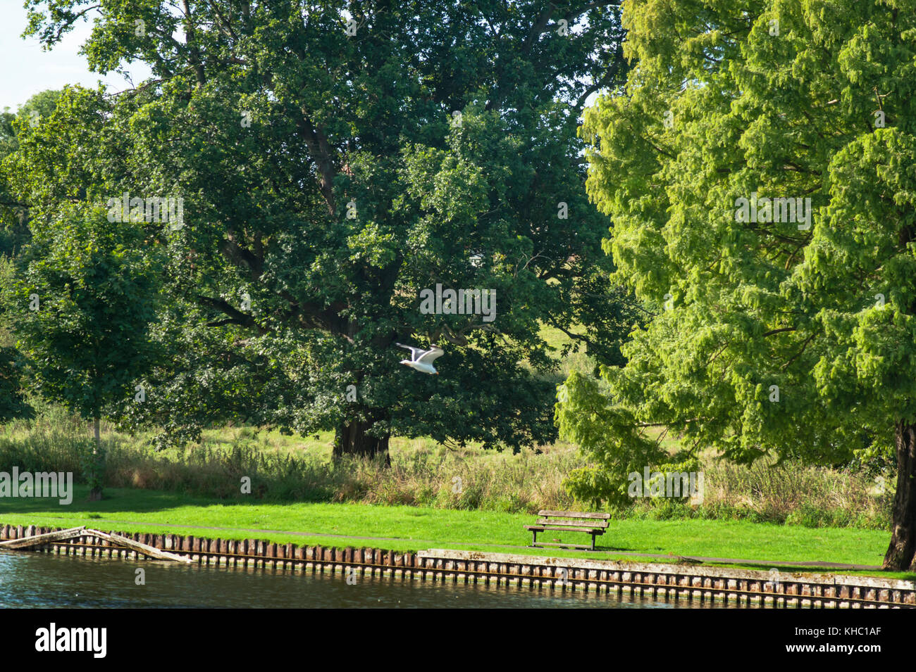 Public park - best place to take rest - Warminster Wiltshire UK Stock ...