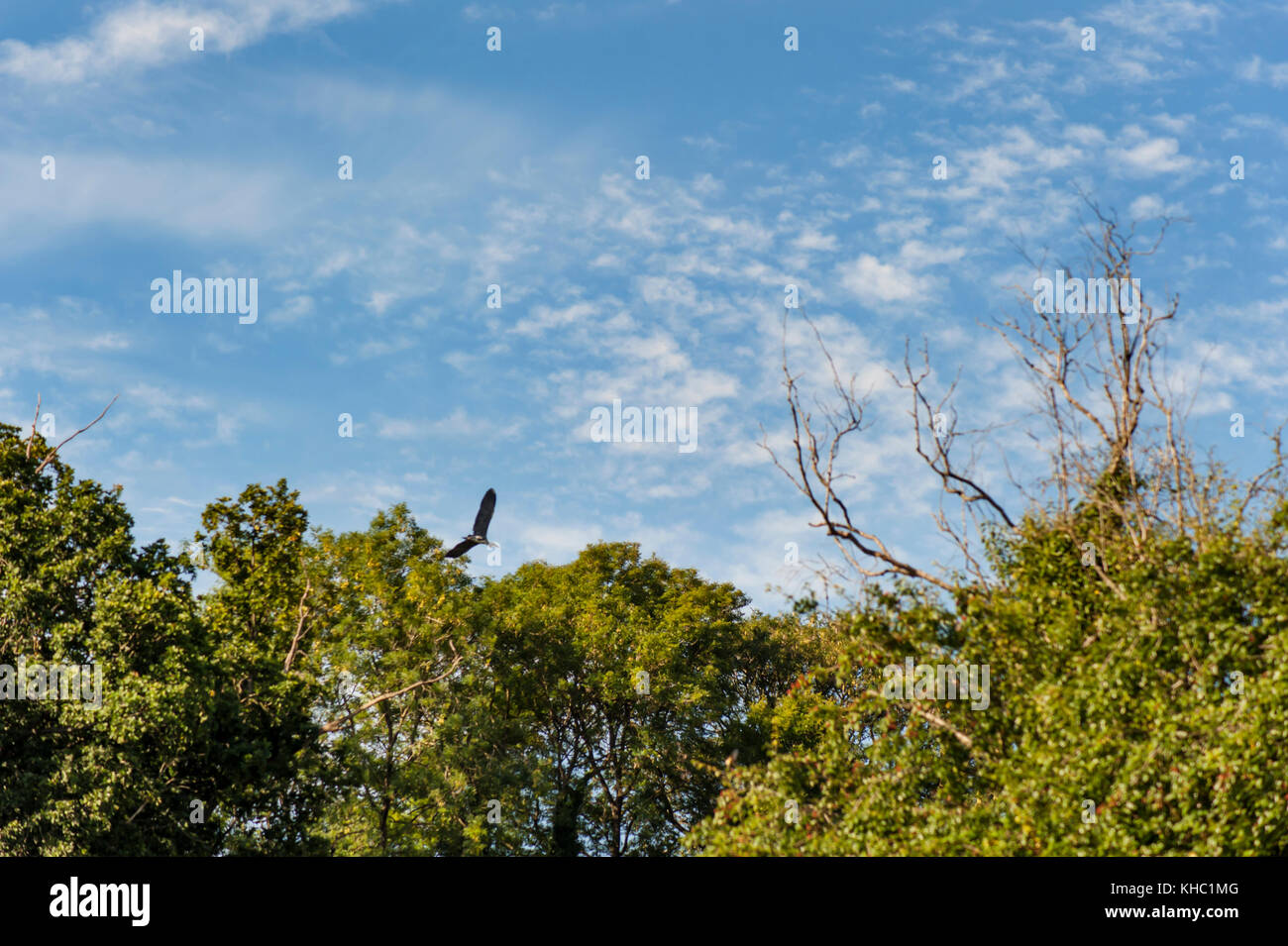 Take rest hi-res stock photography and images - Alamy