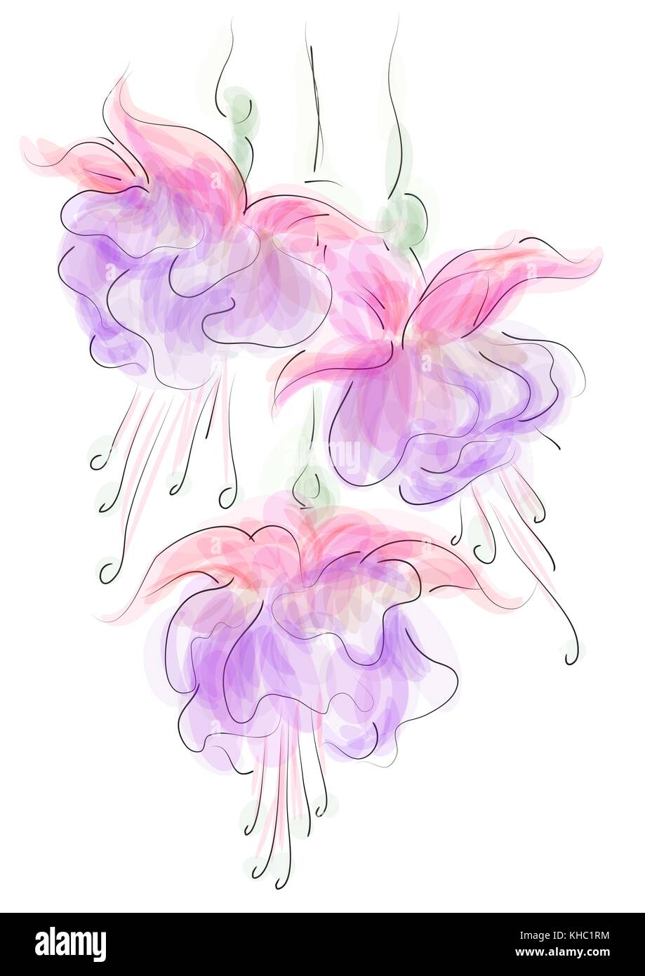 fuchsia abstract flowers isolated on white background Stock Vector ...