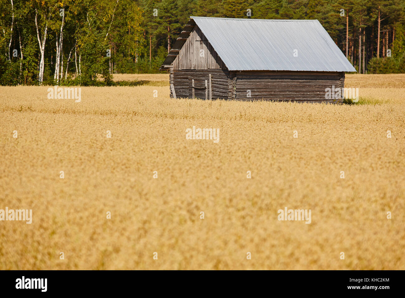 Finnish summer landscape old barn hi-res stock photography and images ...