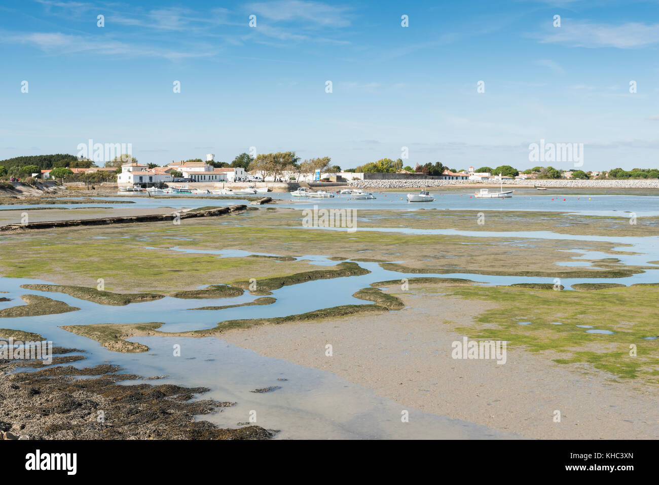 Ile de ré, Charente Maritime, France Stock Photo - Alamy