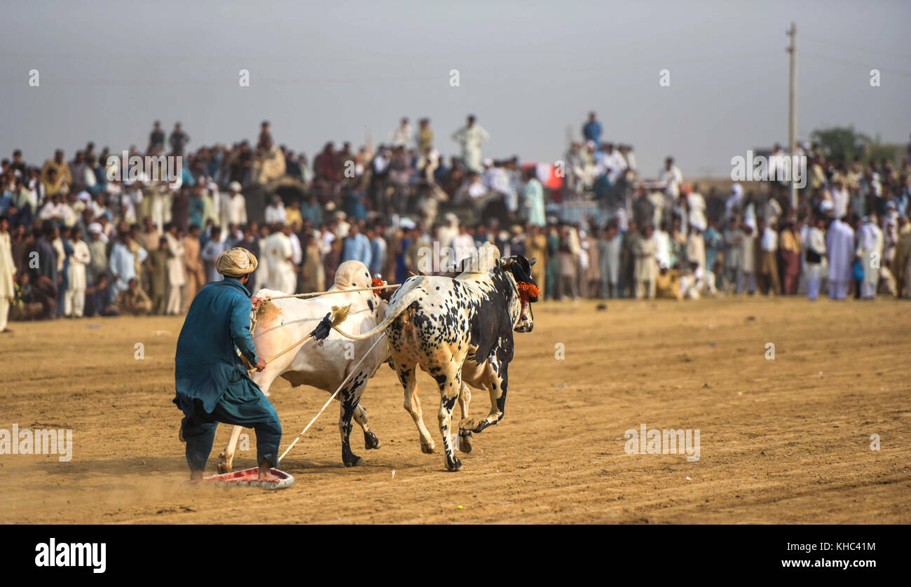Punjab pakistan village hi-res stock photography and images - Alamy