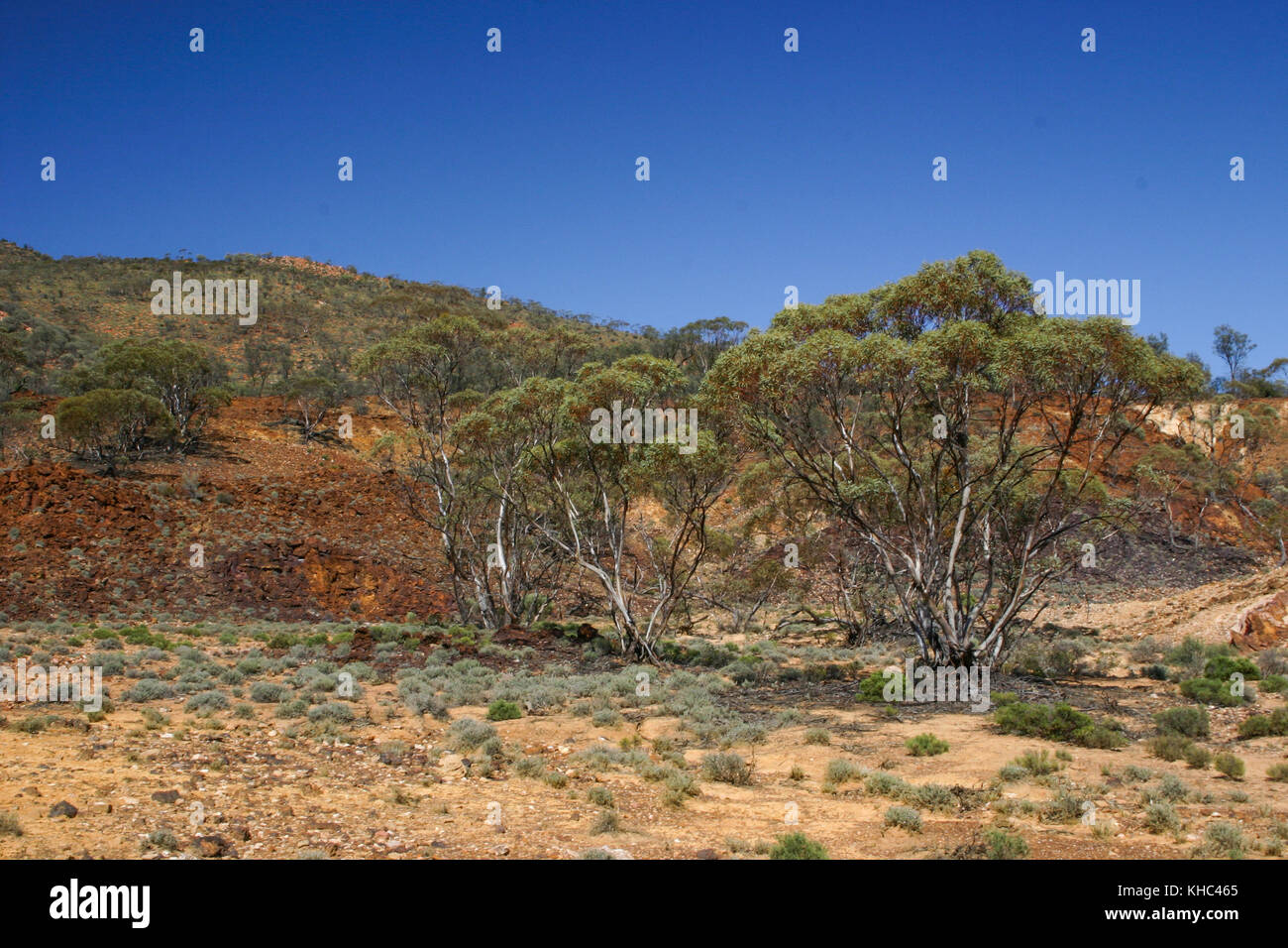 The Australian Outback Stock Photo - Alamy