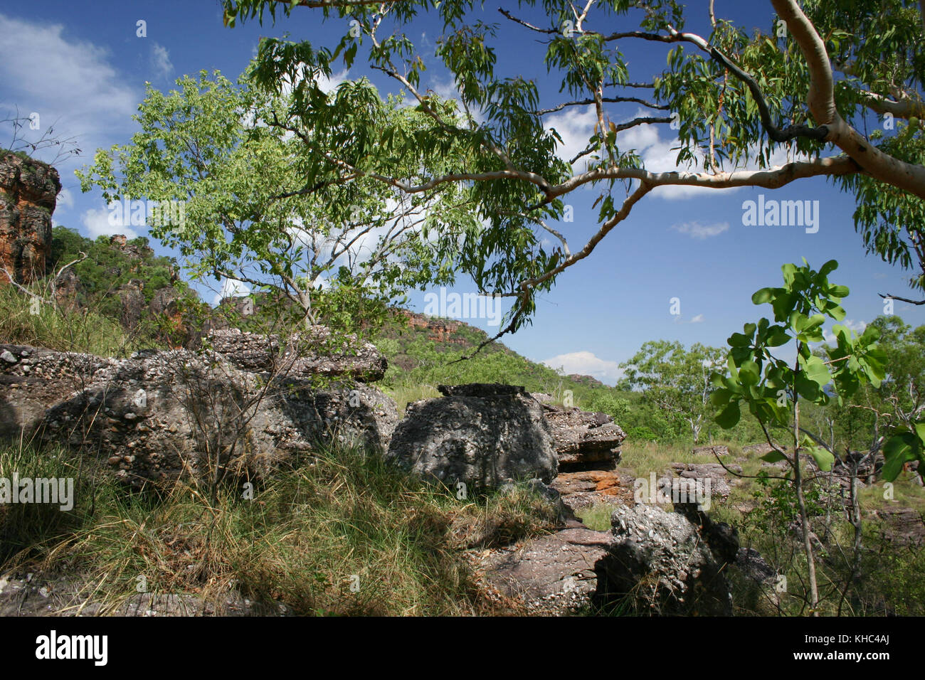 The tropical North of Australia Stock Photo - Alamy
