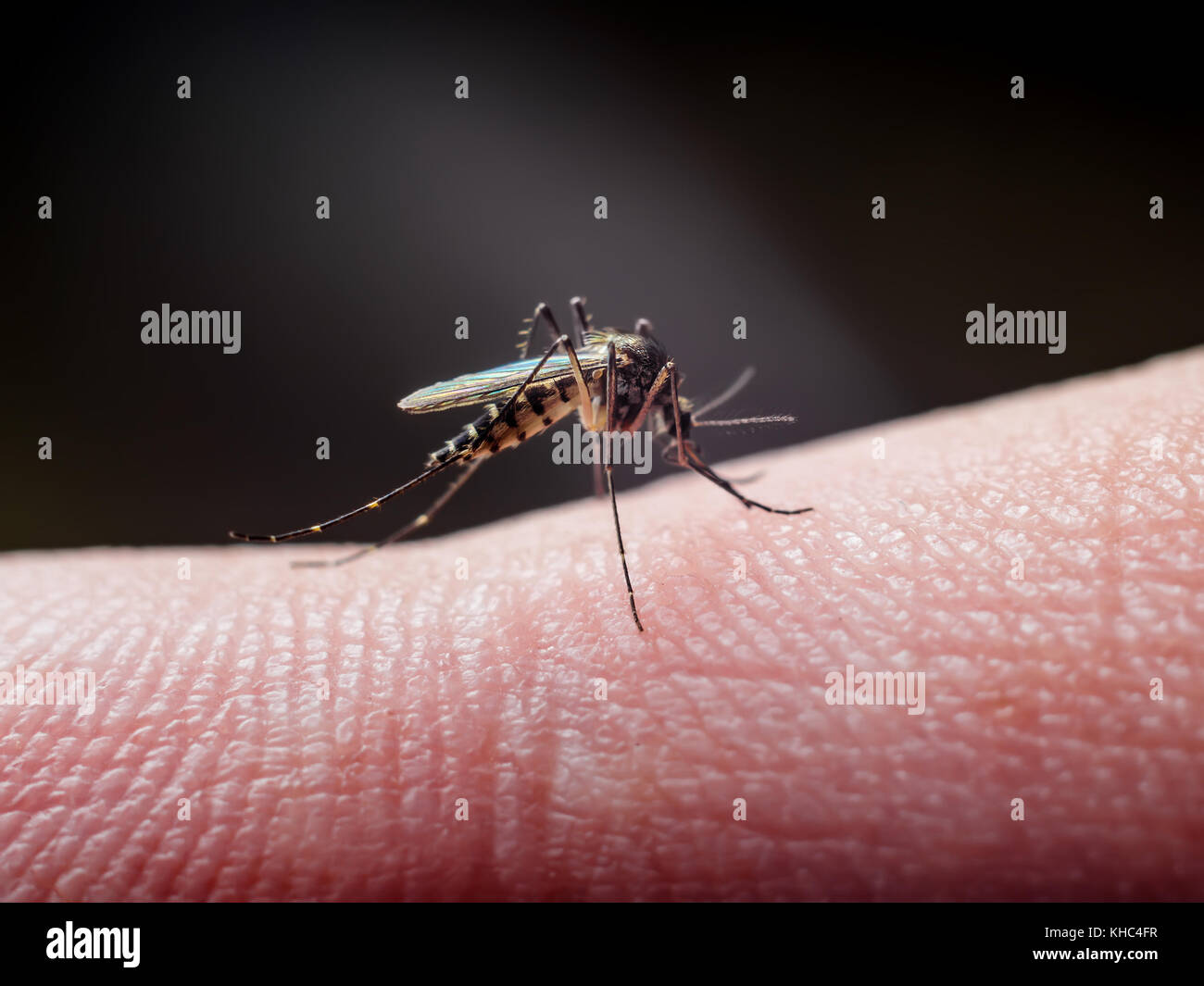 Insecticide malaria hi-res stock photography and images - Alamy
