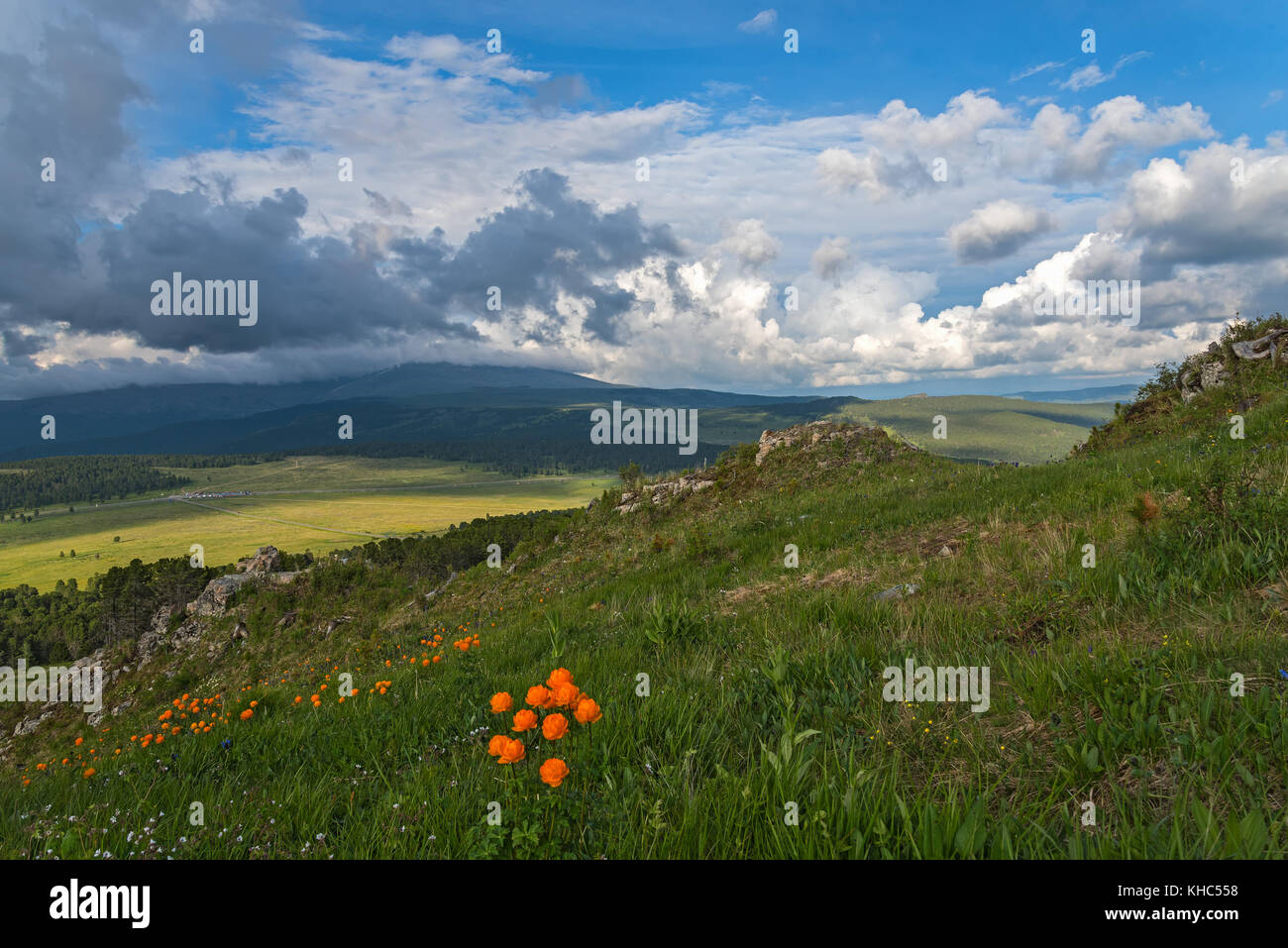 Scenic top view on the valley, forest and mountains on the background ...