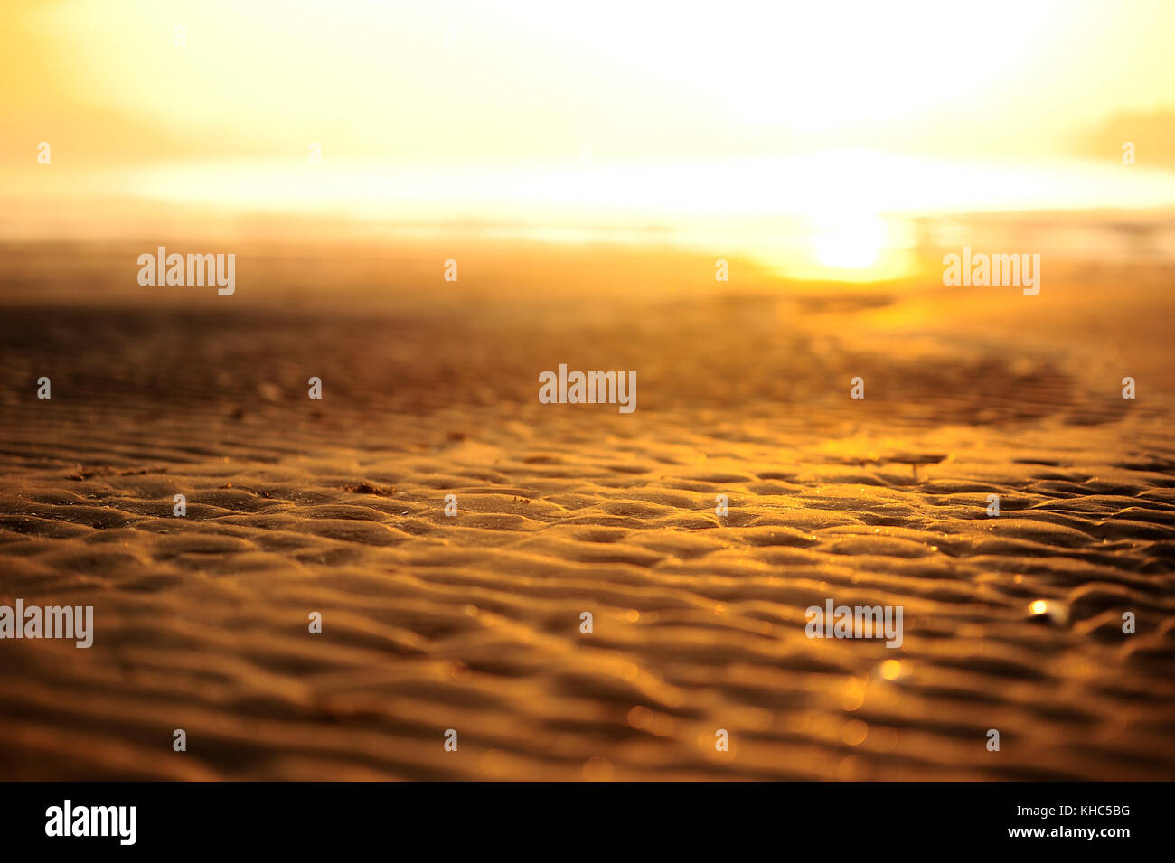 Seashore in the morning ,sand pattern with the golden light Stock Photo ...
