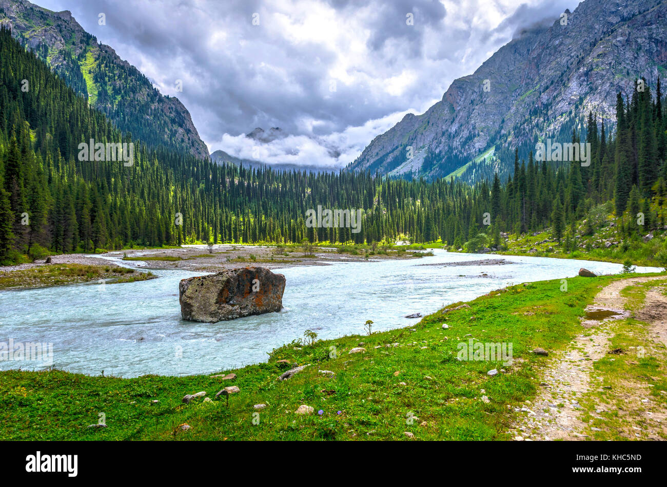 Stunning landscape of forest and river in Karakol national park ...