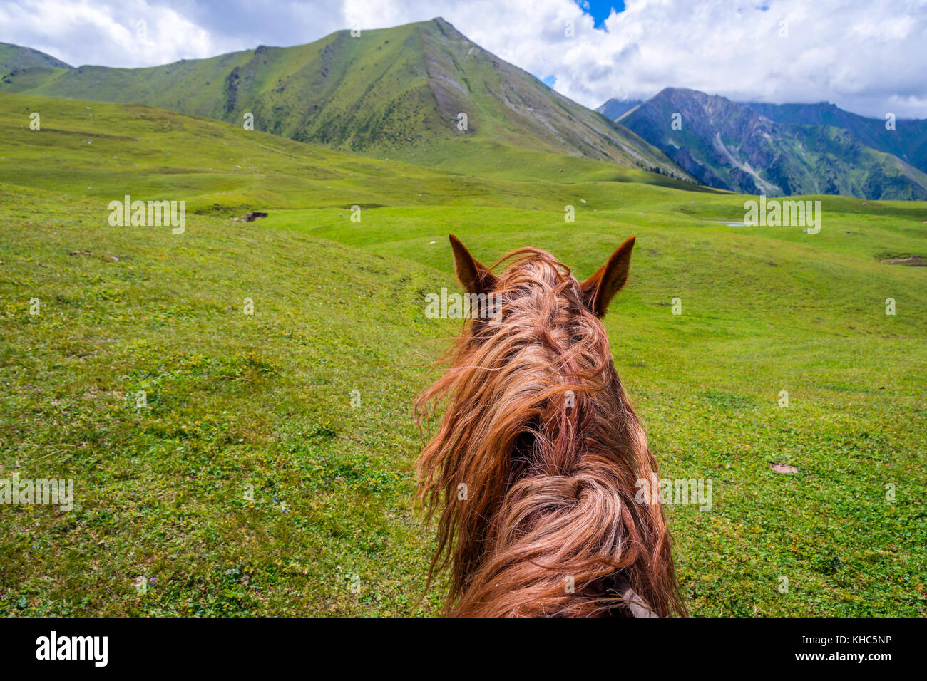 Back view horse riding hi-res stock photography and images - Alamy