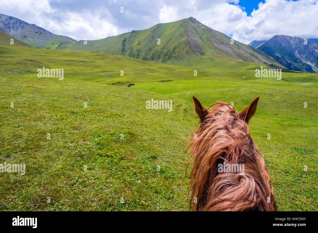 First person view from the horse back over beautiful valley and ...