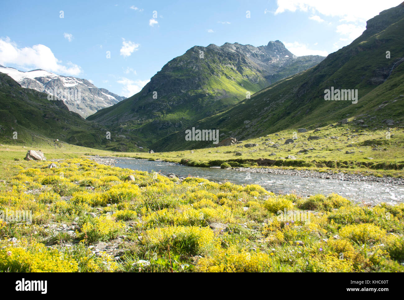 alpine plain *** Local Caption *** switzerland, grisons, splügen, val ...