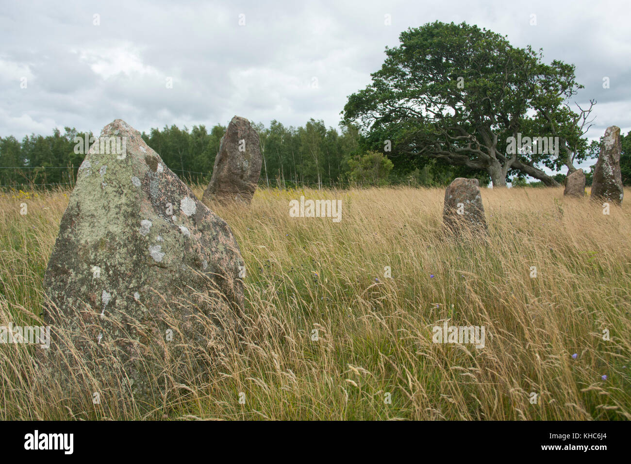 bronze age grave field in Sweden *** Local Caption *** sweden, skane ...