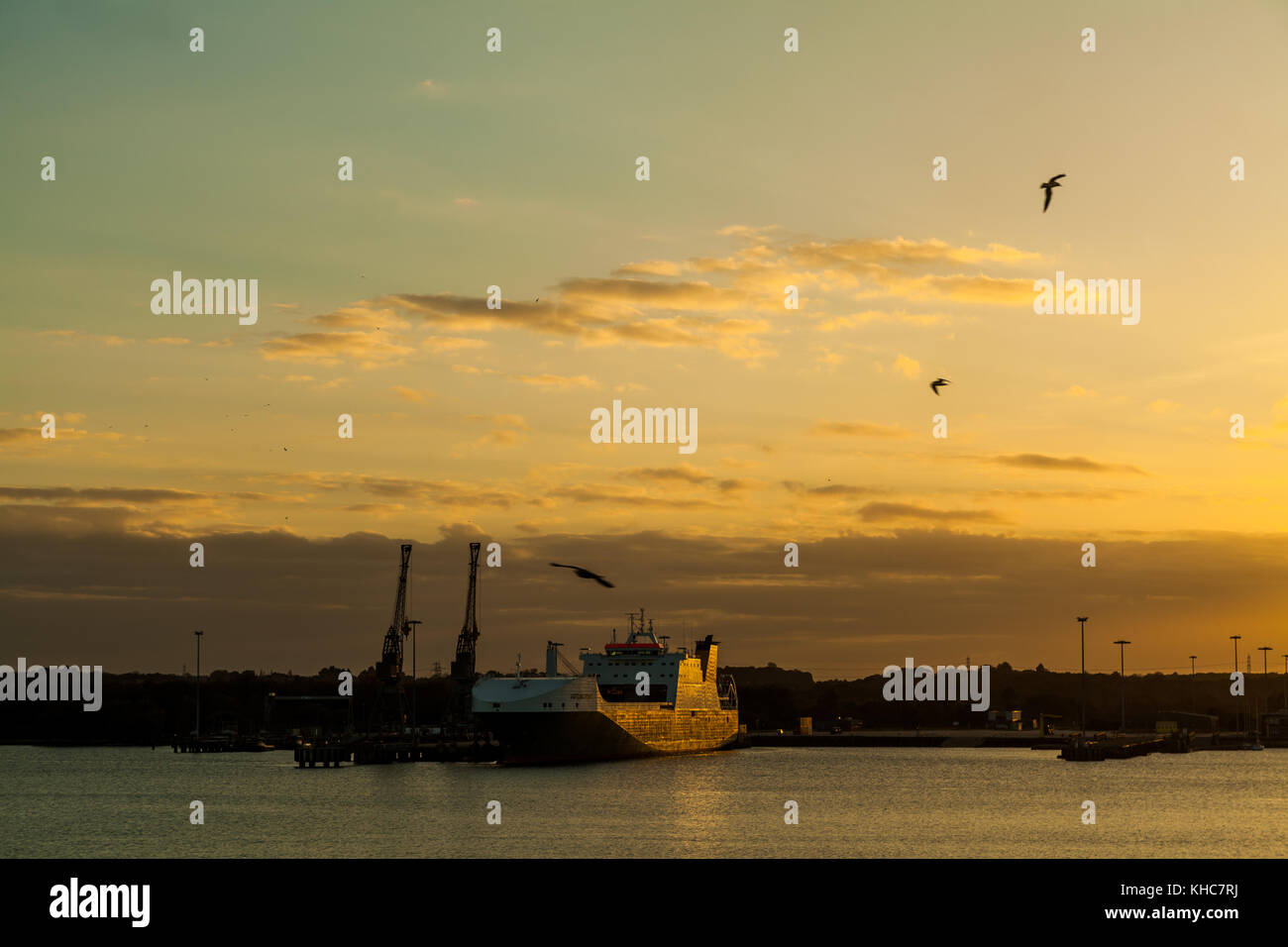 Sunset with cargo ship and birds Stock Photo - Alamy