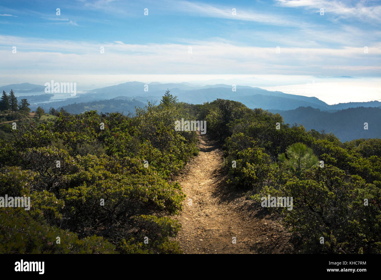 Rock Spring Trail, Mount Tamalpais State Park, California Stock Photo ...