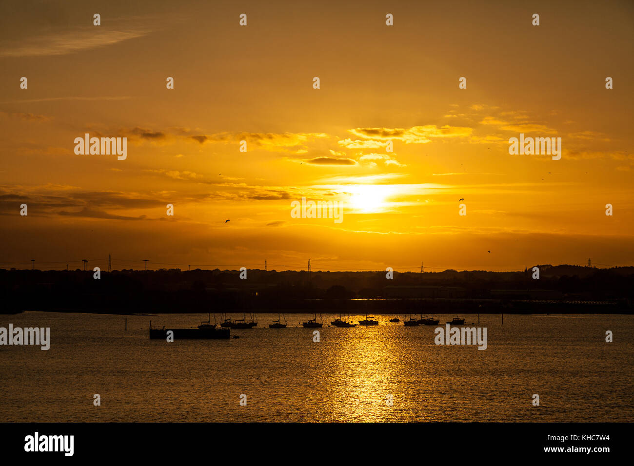 Sunset over harbour with gulls Stock Photo - Alamy