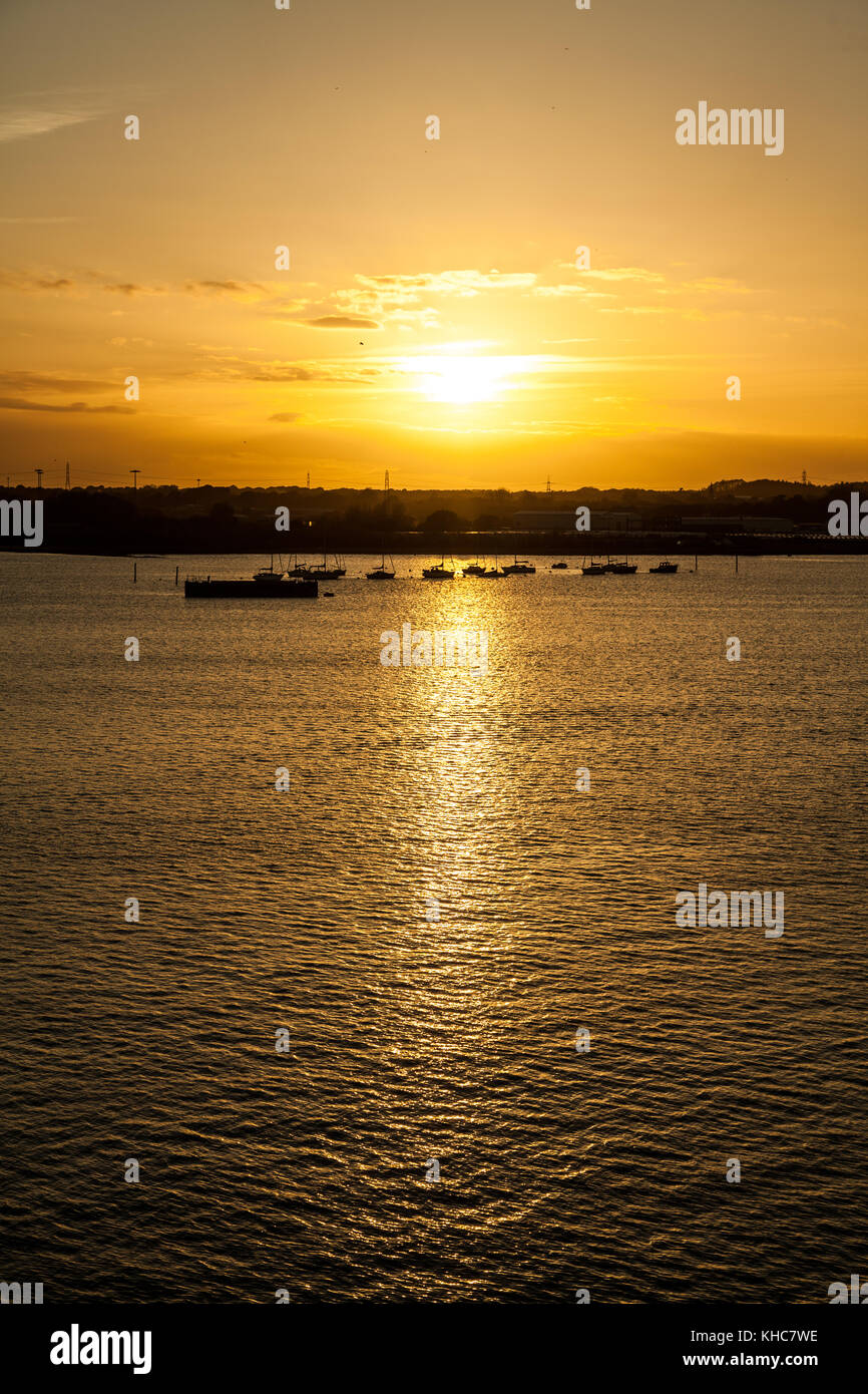 Sunset over harbour with gulls, portrait Stock Photo - Alamy