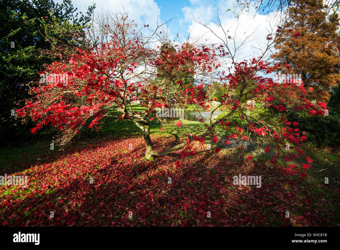 Wakehurst place hi-res stock photography and images - Alamy