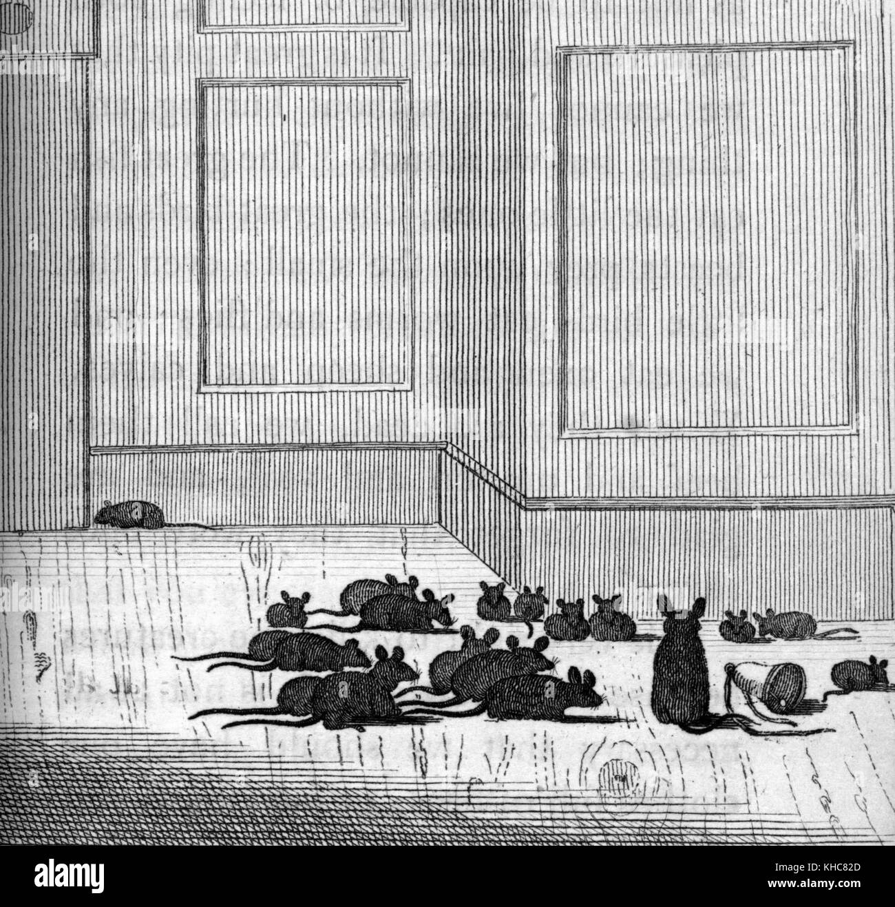 Classic etching hi-res stock photography and images - Alamy