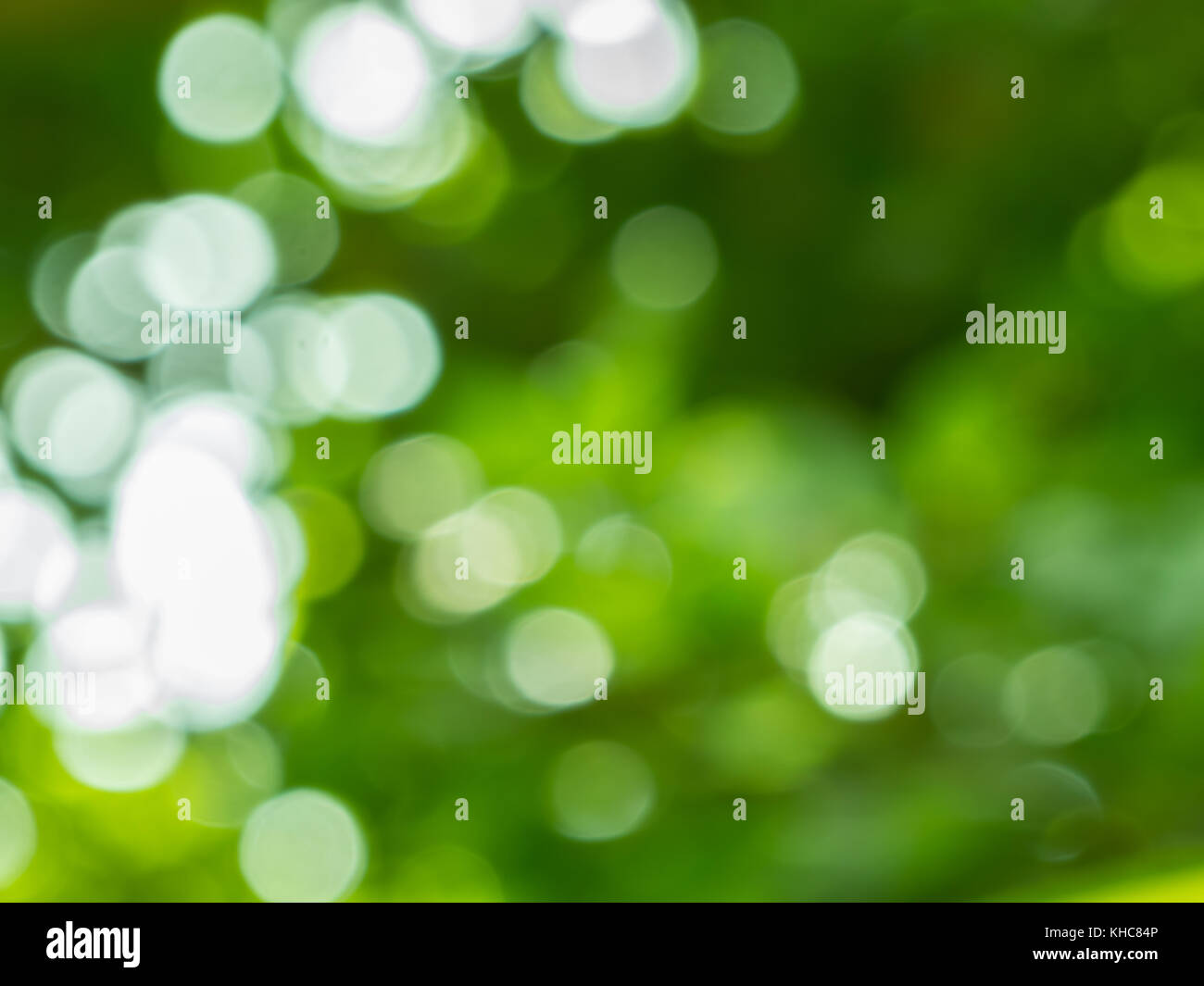 abstract green nature background Stock Photo - Alamy