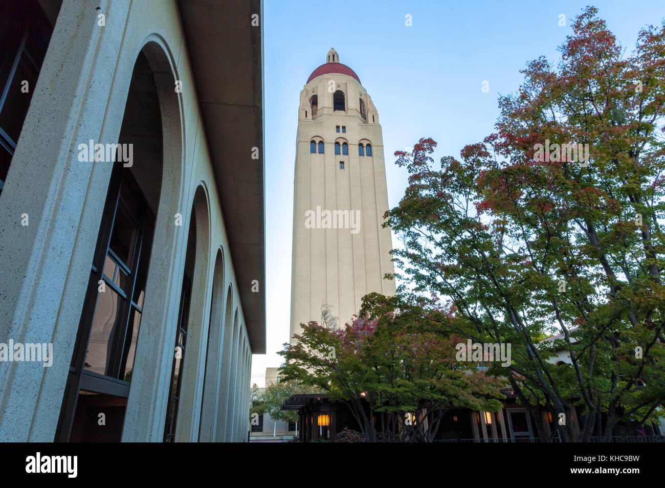 Hoover Tower at early morning, Stanford University campus, Palo Alto ...
