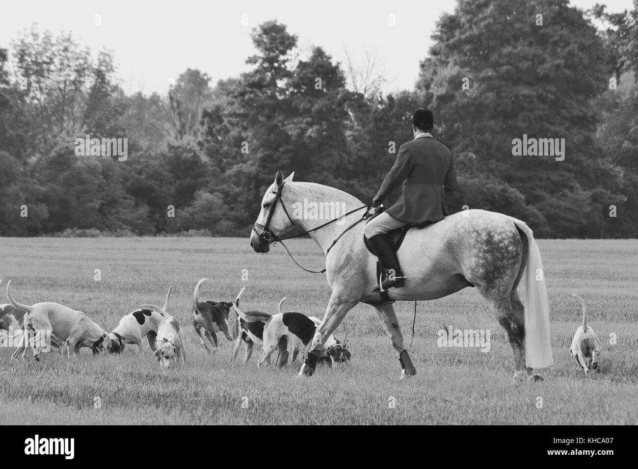 Fox hunting huntsman Black and White Stock Photos & Images - Alamy