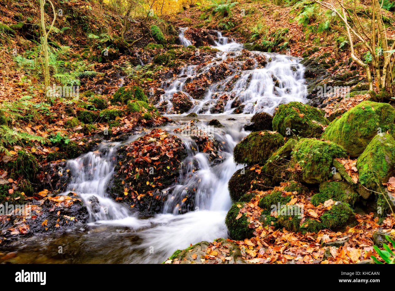 Windermere lake district autumn hi-res stock photography and images - Alamy