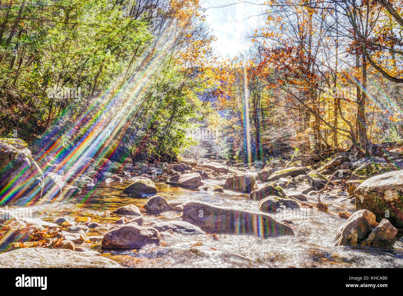 Closeup of shallow rock stream with running water, stones and smooth ...