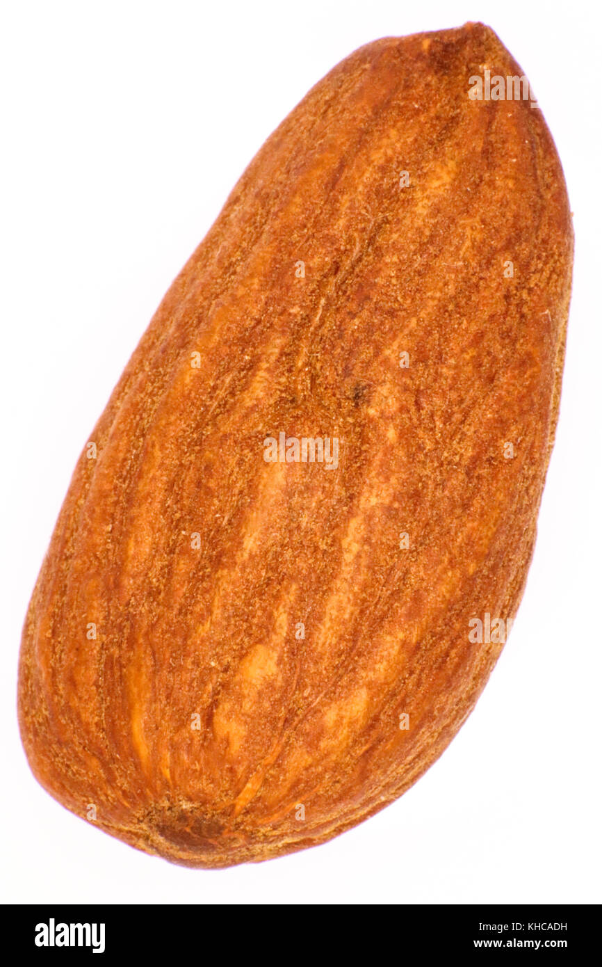 Isolated Almond Nut Texture Surface. Macro Closeup. Natural Organic ...