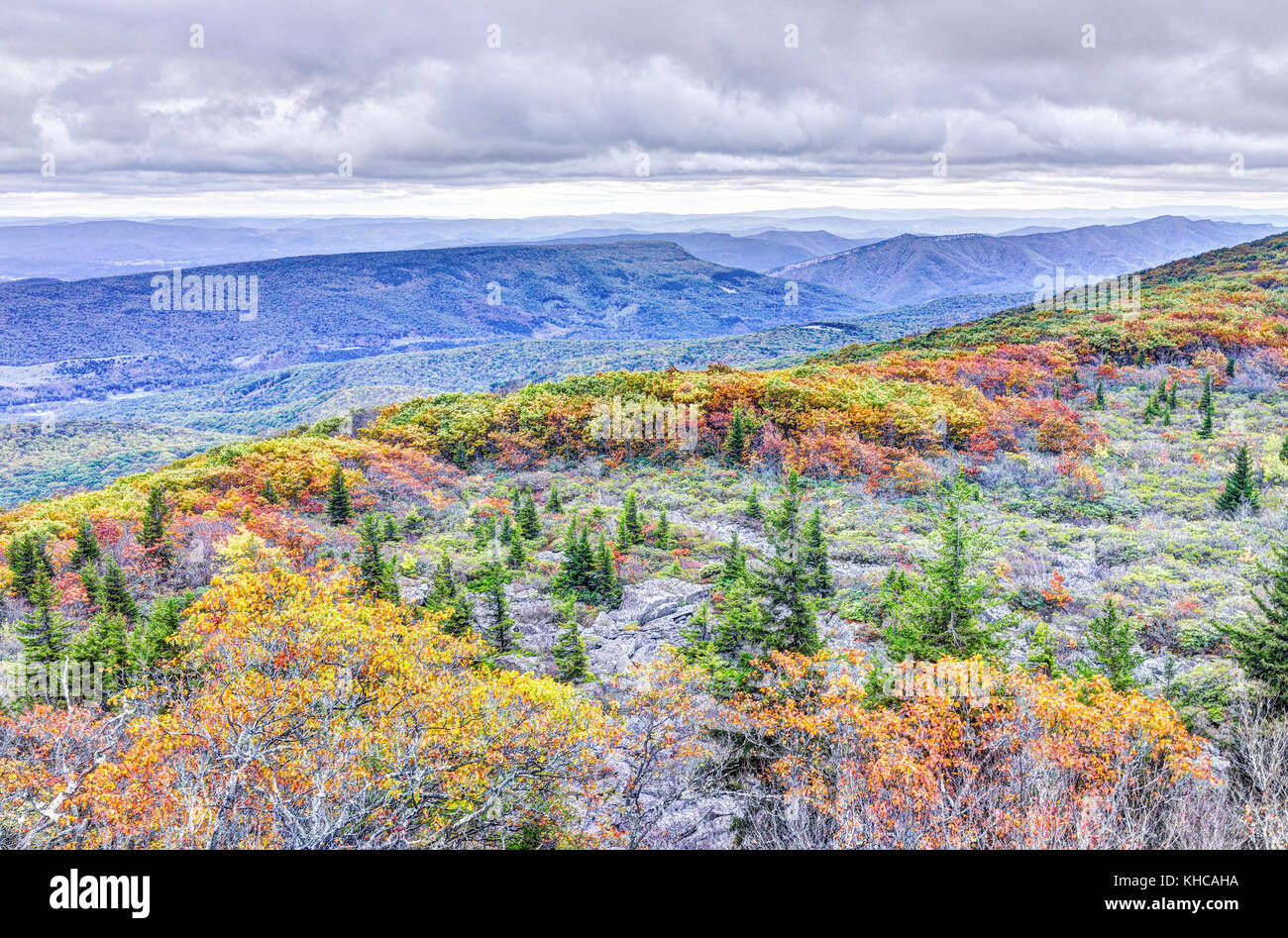 Dolly forest hi-res stock photography and images - Alamy