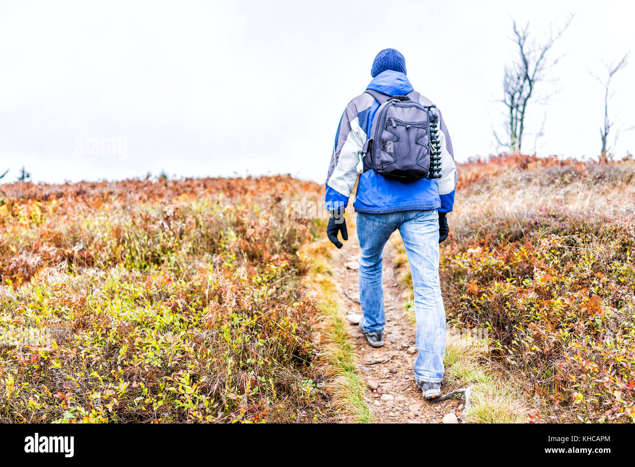 Uphill trail path hill meadow on yellow, golden, orange autumn hike ...
