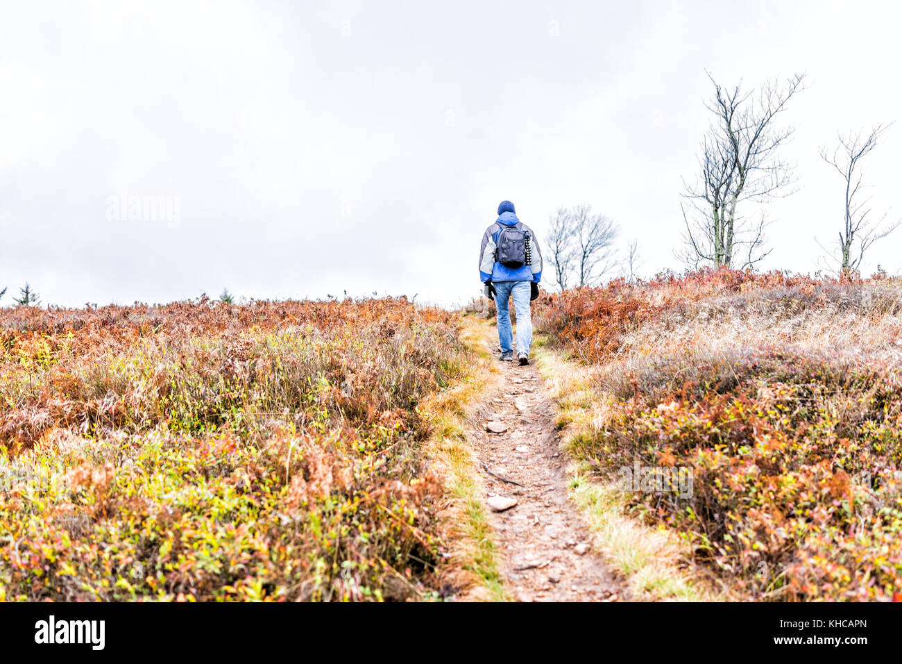 Uphill trail path hill meadow on yellow, golden, orange autumn hike ...