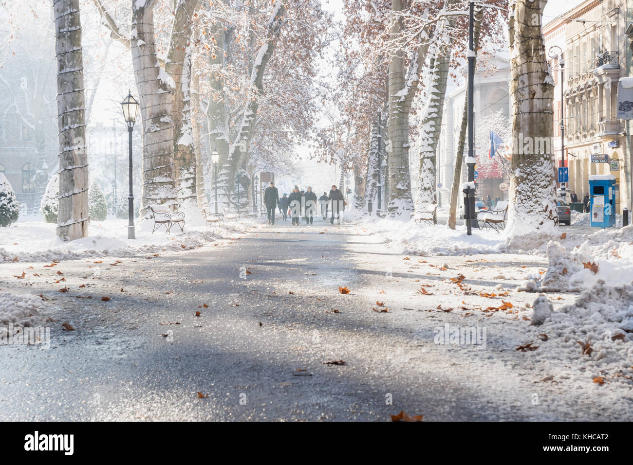 Zagreb, Croatia: January 7 2016: Footpath with decorated trees with ...