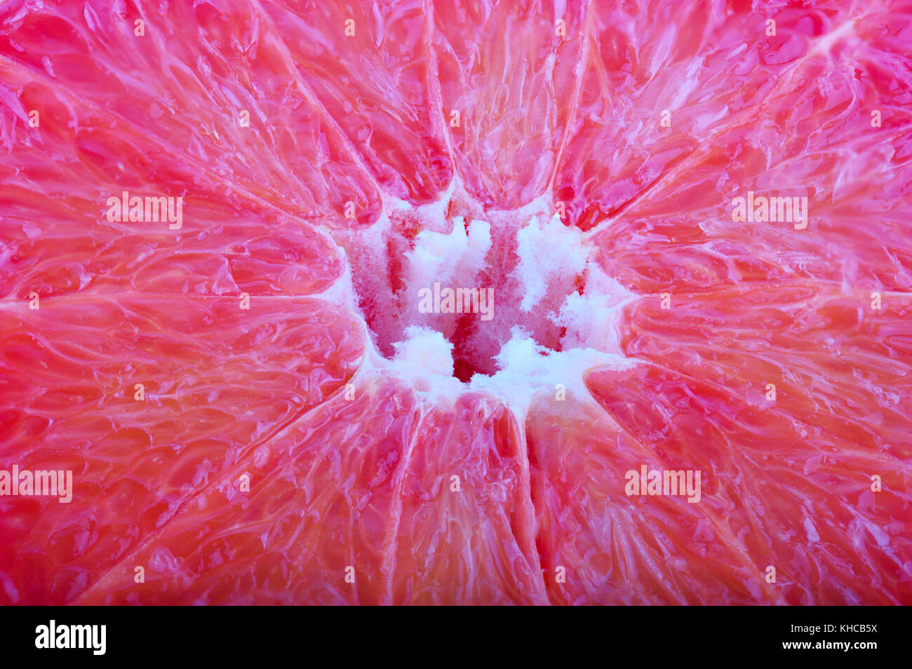 Texture of grapefruit slice, top view, close-up, citrus backgrounds Stock Photo - Alamy