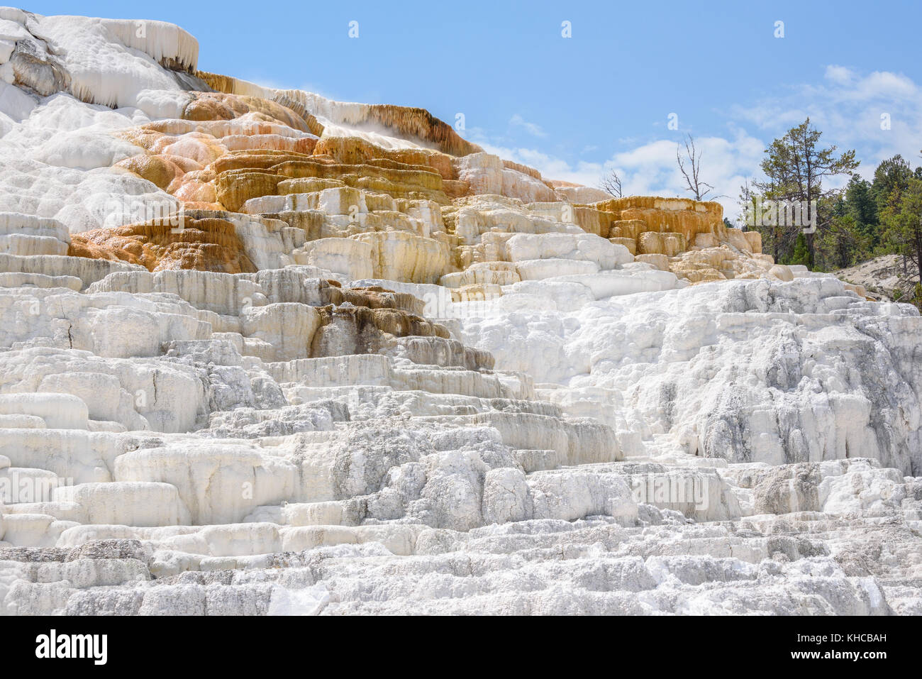 Palette Spring landscape, Travertine Terrace, Mammoth Hot Springs ...