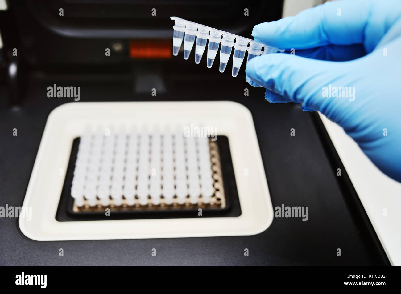 Real Time Pcr High Resolution Stock Photography and Images - Alamy