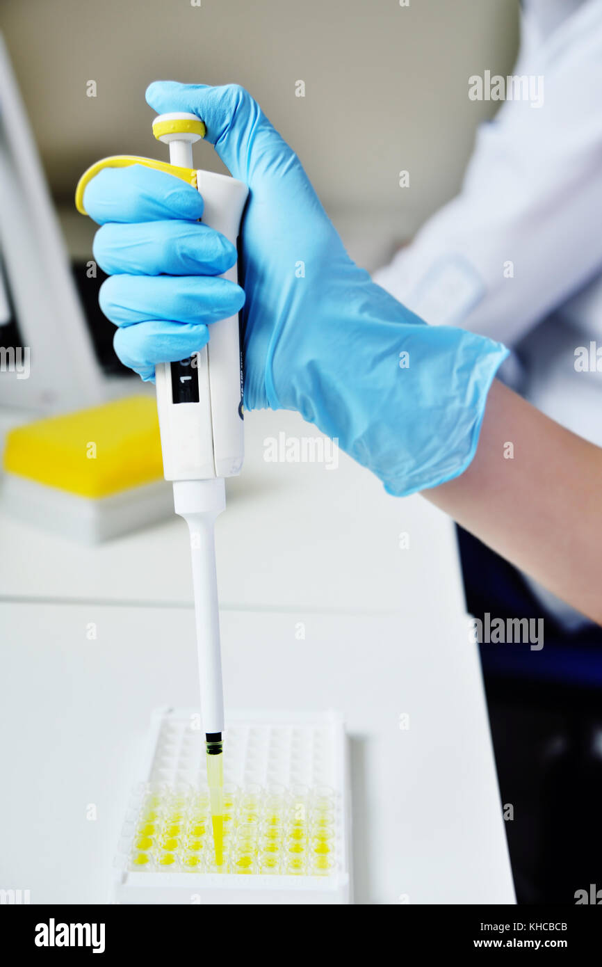 A laboratory scientist with a dispenser in his hands conducts ...