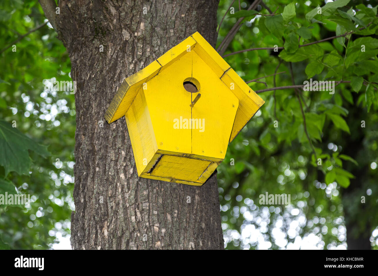 Yellow birdhouse hi-res stock photography and images - Alamy